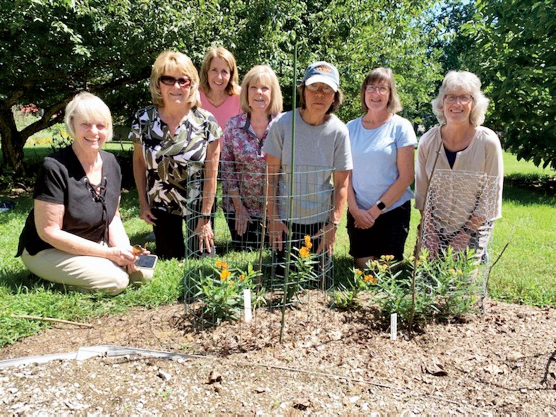 GFWC Parkersburg Woman’s Club improving butterfly habitat | News ...